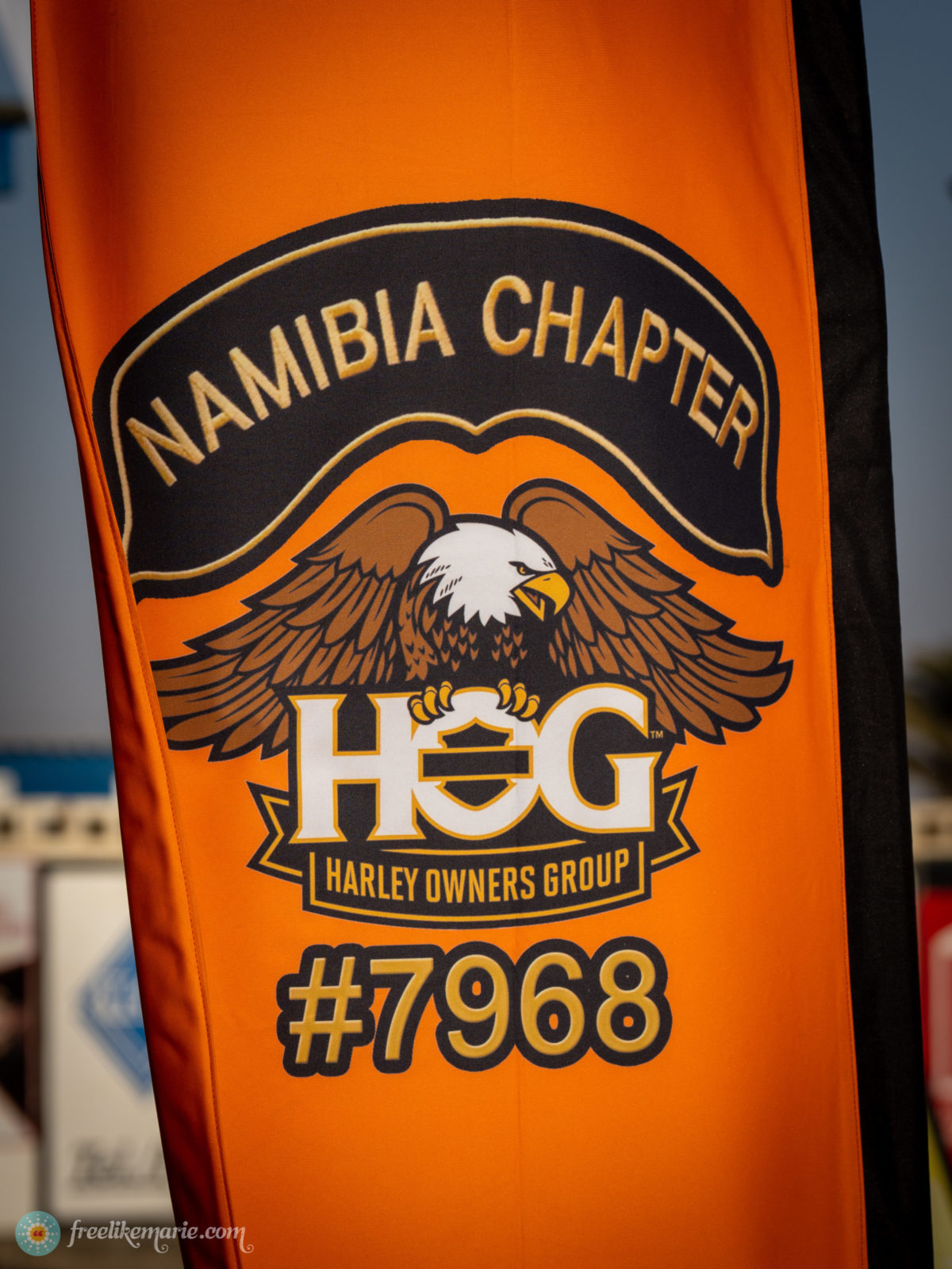 HOG-warts: Skeleton Coast Rally 2022 - free like marie!